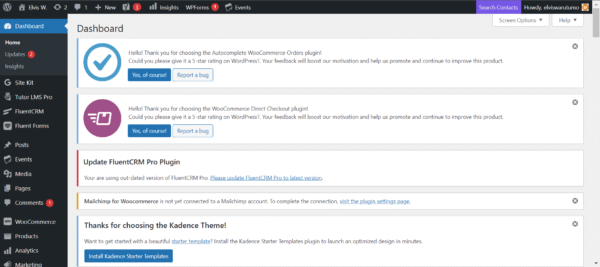 WordPress Web design course - Elvis W.